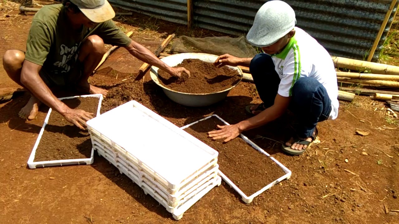 Persemaian - YouTube