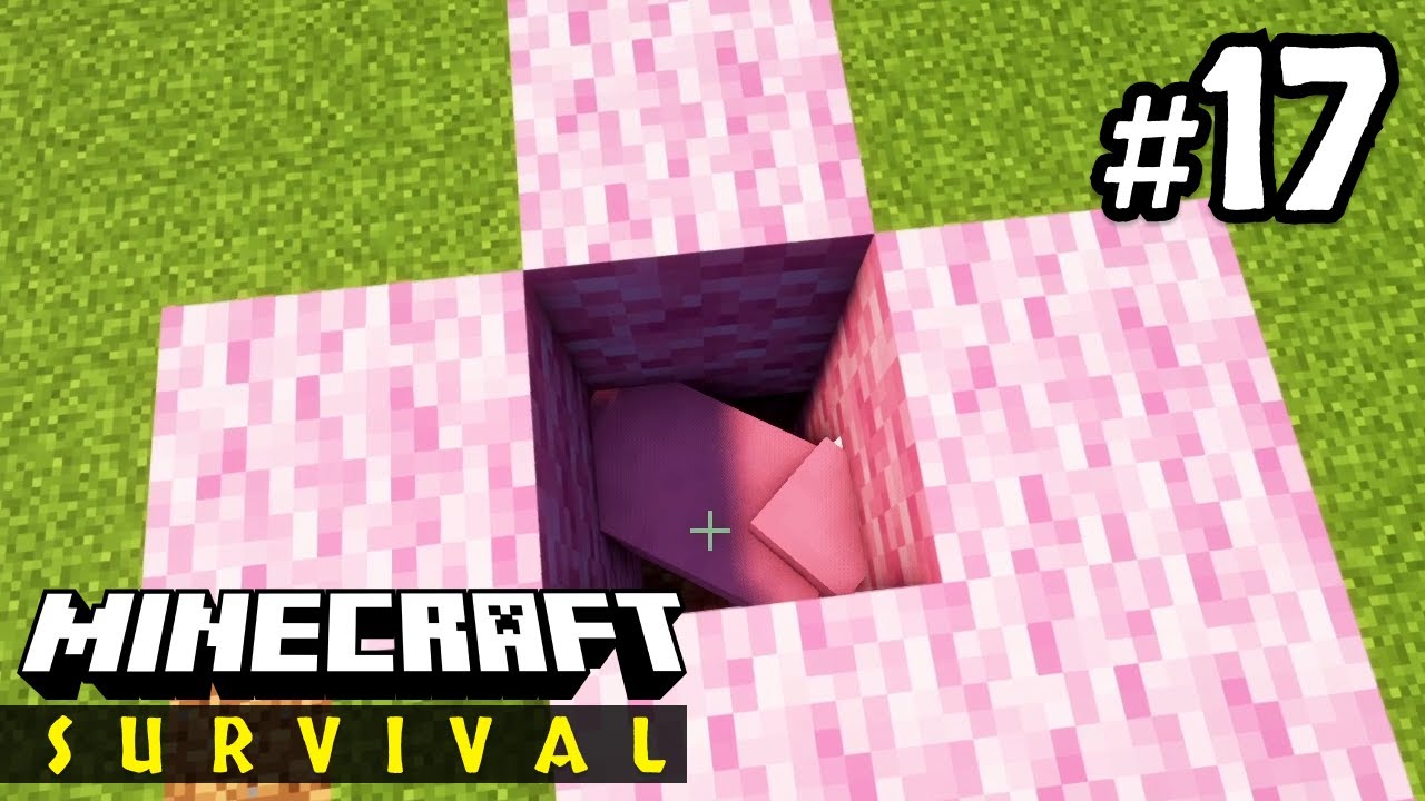 Easy Infinite Automatic Pink Wool Farm | Minecraft Survival (Episode 17 ...