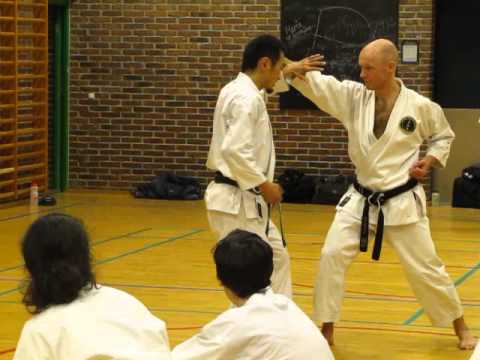 Yamaguchi-sensei demonstrates kata Junro nidan - YouTube