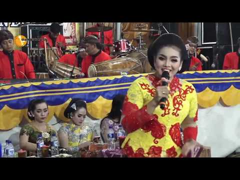 Podang  Kuning ~ Mboke Ndembig ~ Supra Nada Kliro