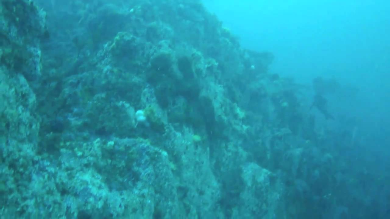 Carmel Diving: Que Paso and Fan Shell Beach Pinnacles - Flip Ultra HD ...