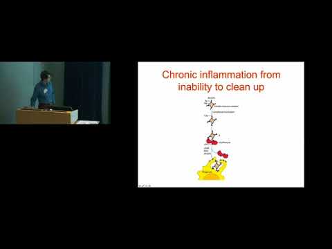 Autoinflammatory Diseases Symposium: Paul Gray