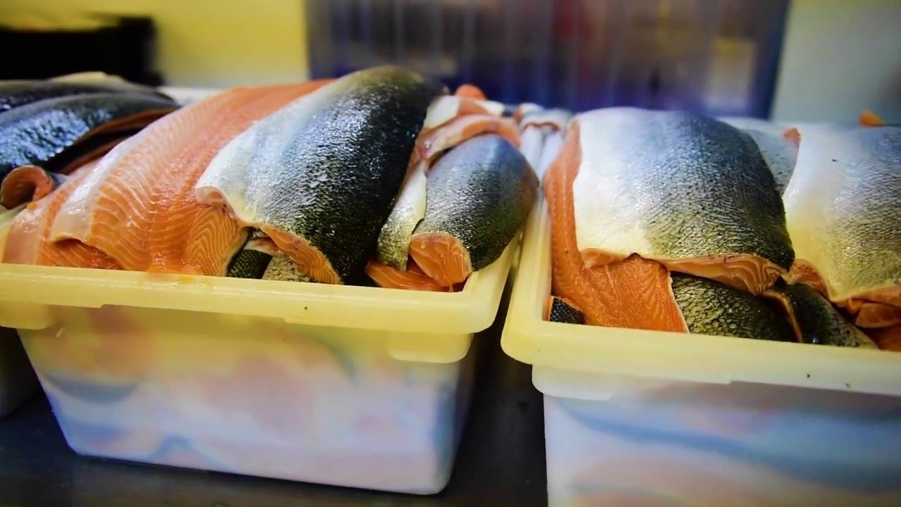 Get to know your fish better...take a tour - YouTube