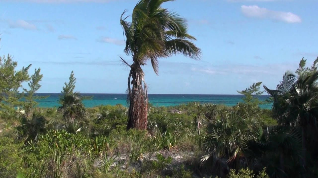 Cape Eleuthera resort: Atlantic side of Lighthouse beach - YouTube