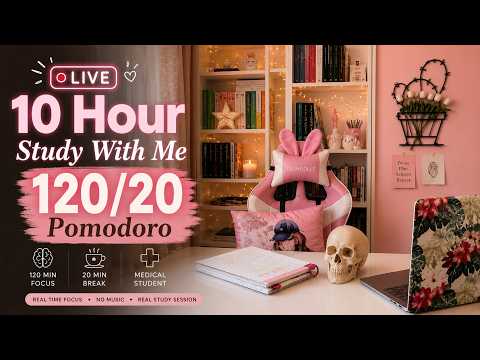 🔴 LIVE 10 Hour Study with me |120 min study ⏱ 20 min break | Let's focus