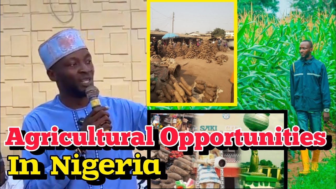 ISE AGBE - Agricultural Opportunities In Nigeria - YouTube