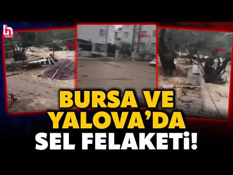 Yağmur, Bursa ve Yalova'da sele neden oldu: Ahırları su bastı; 5 büyükbaş selde öldü!