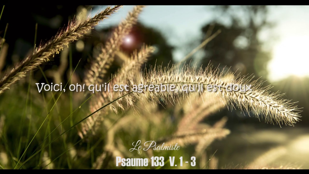 Les Psaumes en musique ~ Vidéo VIII Psaume 133 : 1 - 3 | Le Psalmiste ...