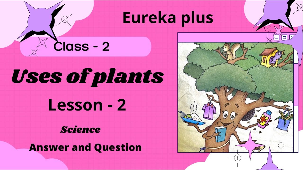 Uses Of Plants Class 2 Lesson 2 Answer And Question YouTube Uses Of Plants Class 2 Lesson 2 Answer And Question YouTube