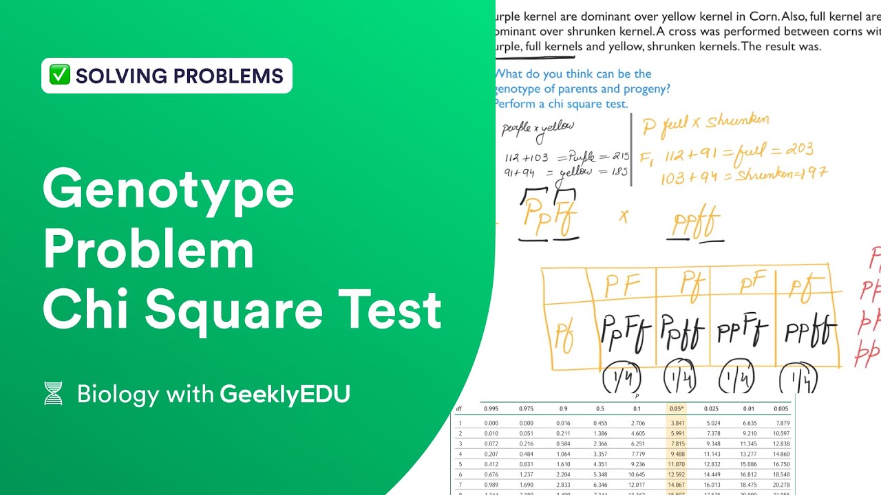 #GeeklyHub Solving Genotype Problem | Chi Square Test | Genetics ...