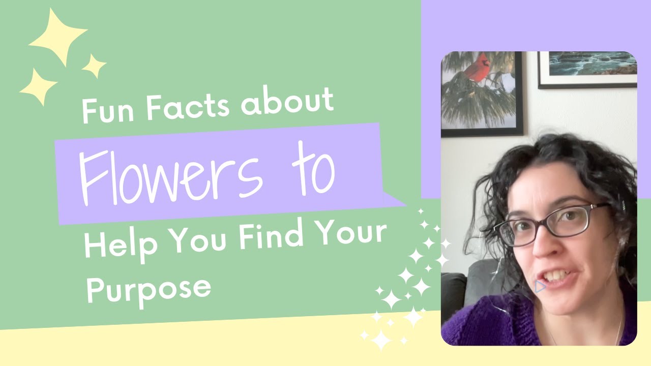 Fun Facts about Flowers to Help You Find Your Purpose - YouTube