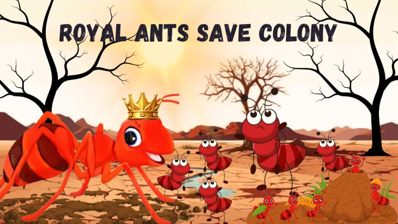 royal ants save colony| bedtime english stories| cartoon - YouTube
