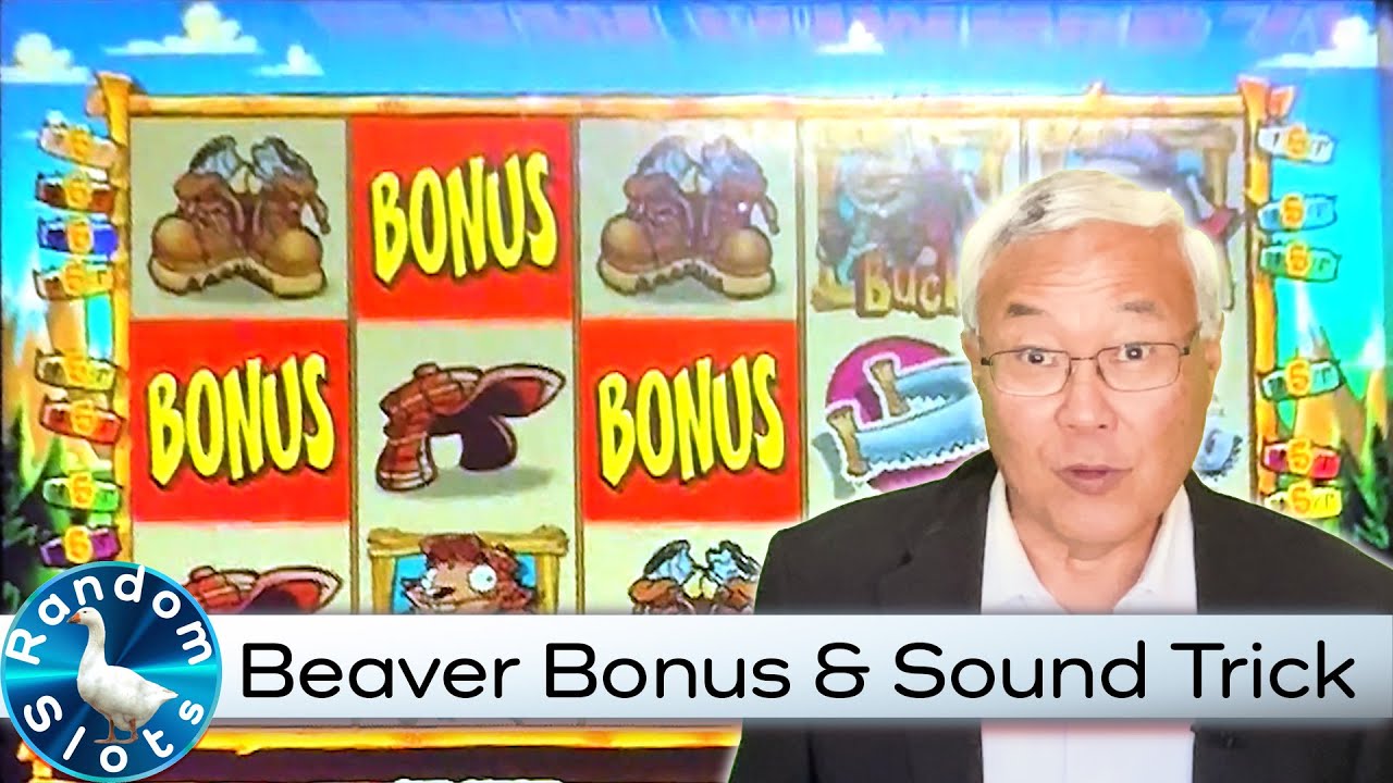 Dam Lumberjack Beavers Slot Machine Beaver Bonus - YouTube