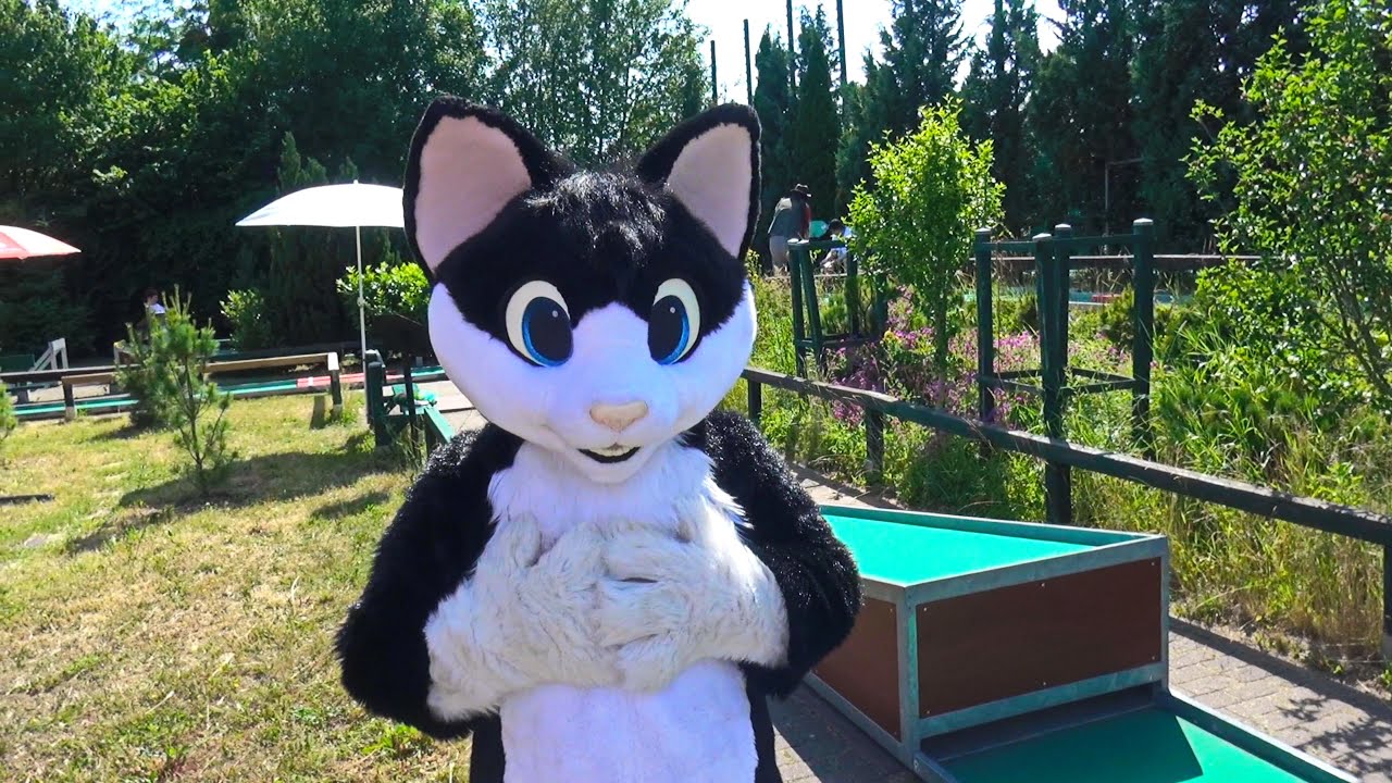 Cats play with mini things *** minigolf for furries, fursuiters and ...