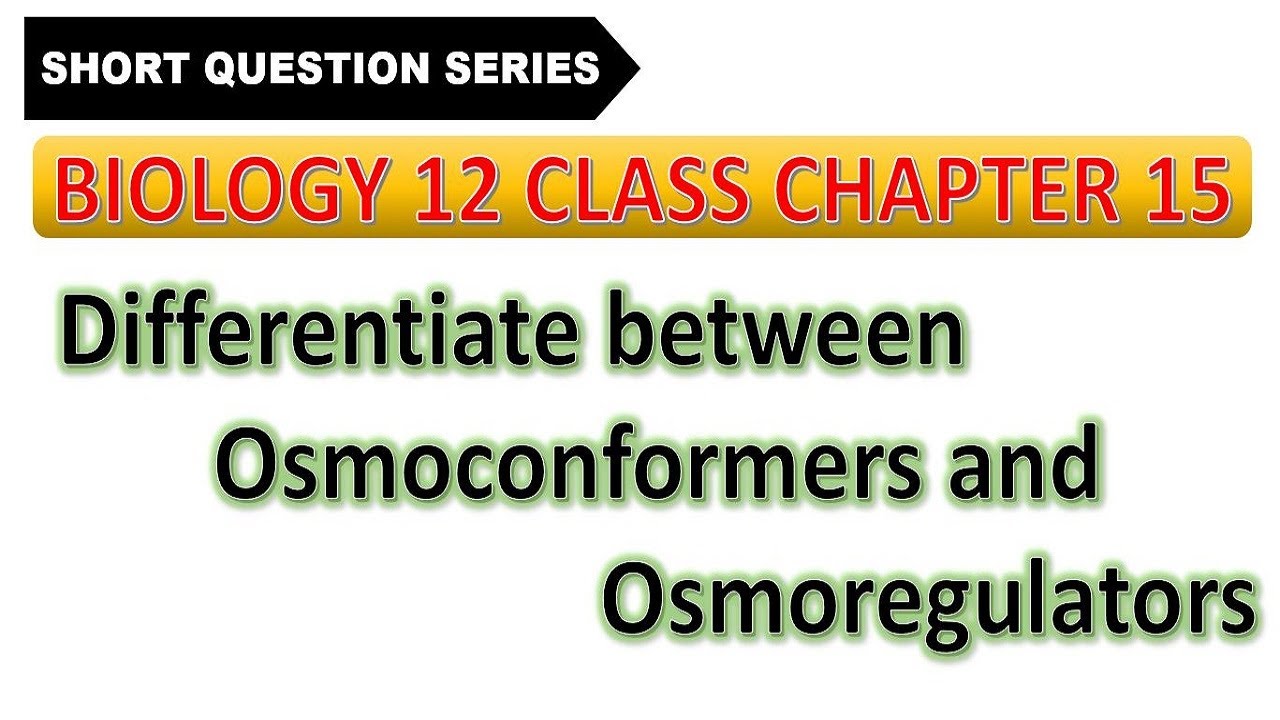 Differentiate between osmoconformers and osmoregulators - YouTube