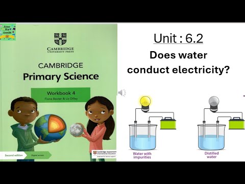 Cambridge primary science grade 4| Unit 6.2| workbook answers|Does ...