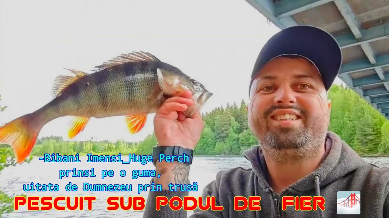 Pescuit la superprădători,Lovitura dublă:Pescuitul la stiuca și biban ...
