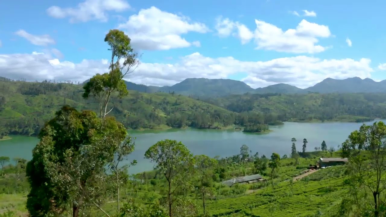 Immerse Yourself in Nature - Ceylon Tea Trails - YouTube