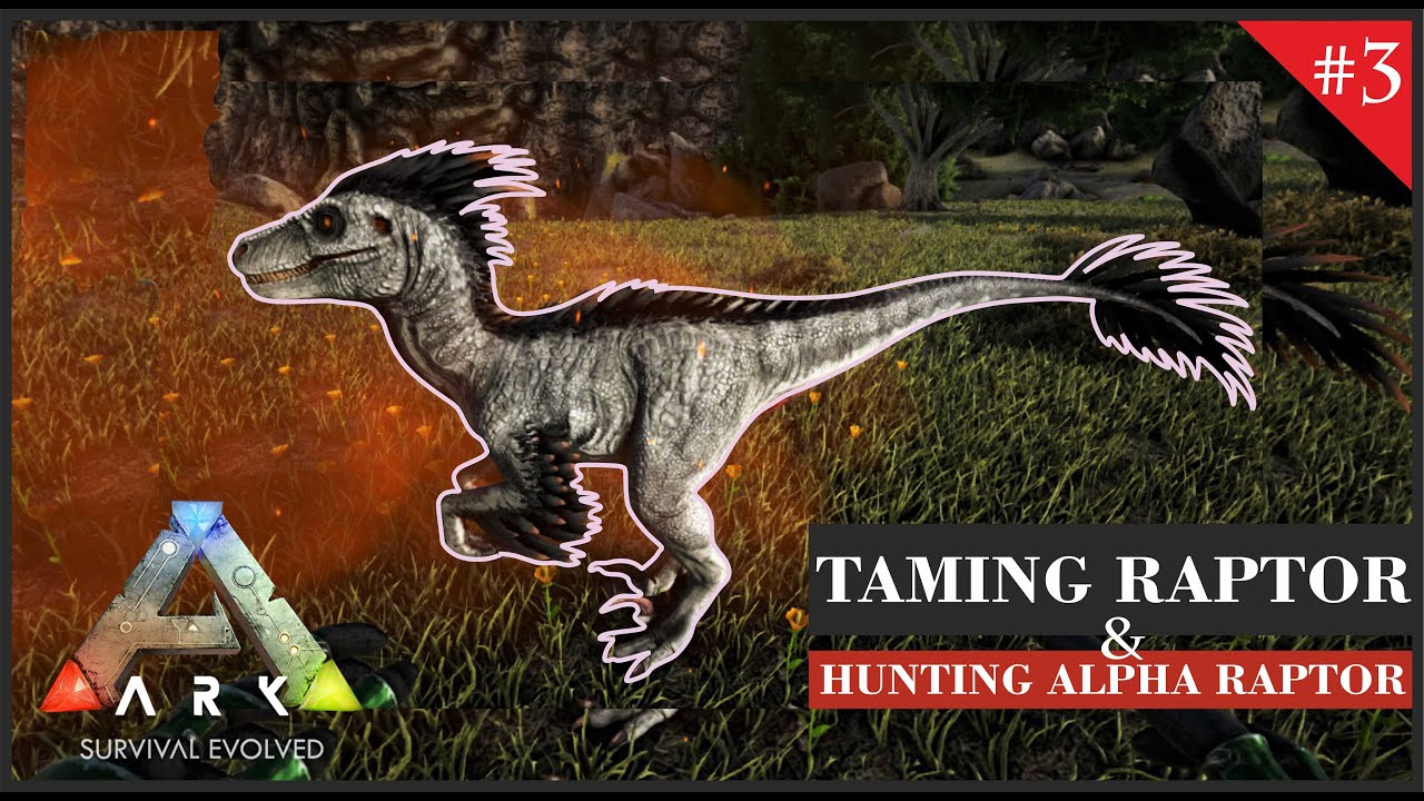 Taming A Raptor | Alpha Raptor Hunt | ARK Survival Evolved Mobile ...