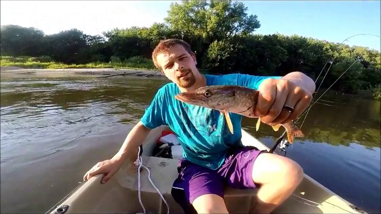 The first BABY Northern Pike I have ever seen caught!!! - YouTube