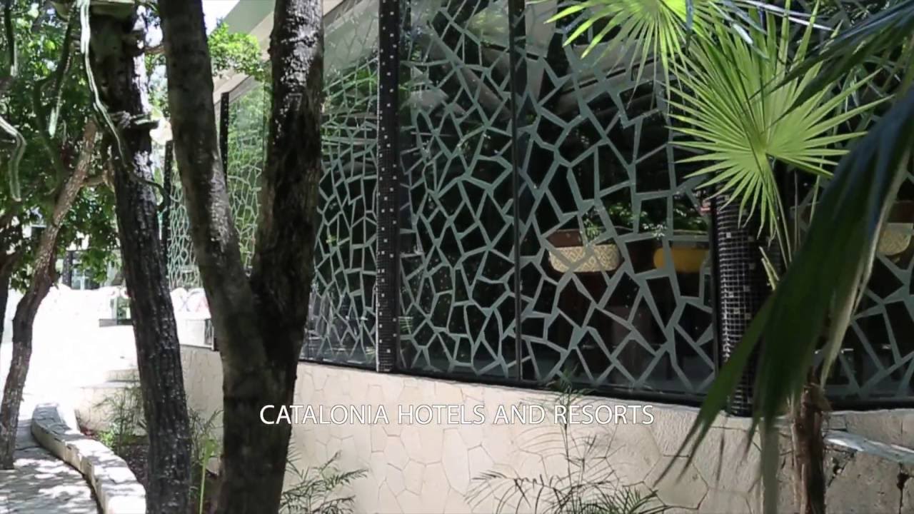 #FSNTravels | Catalonia Royal Tulum - Rauxa Restaurant & Show - YouTube