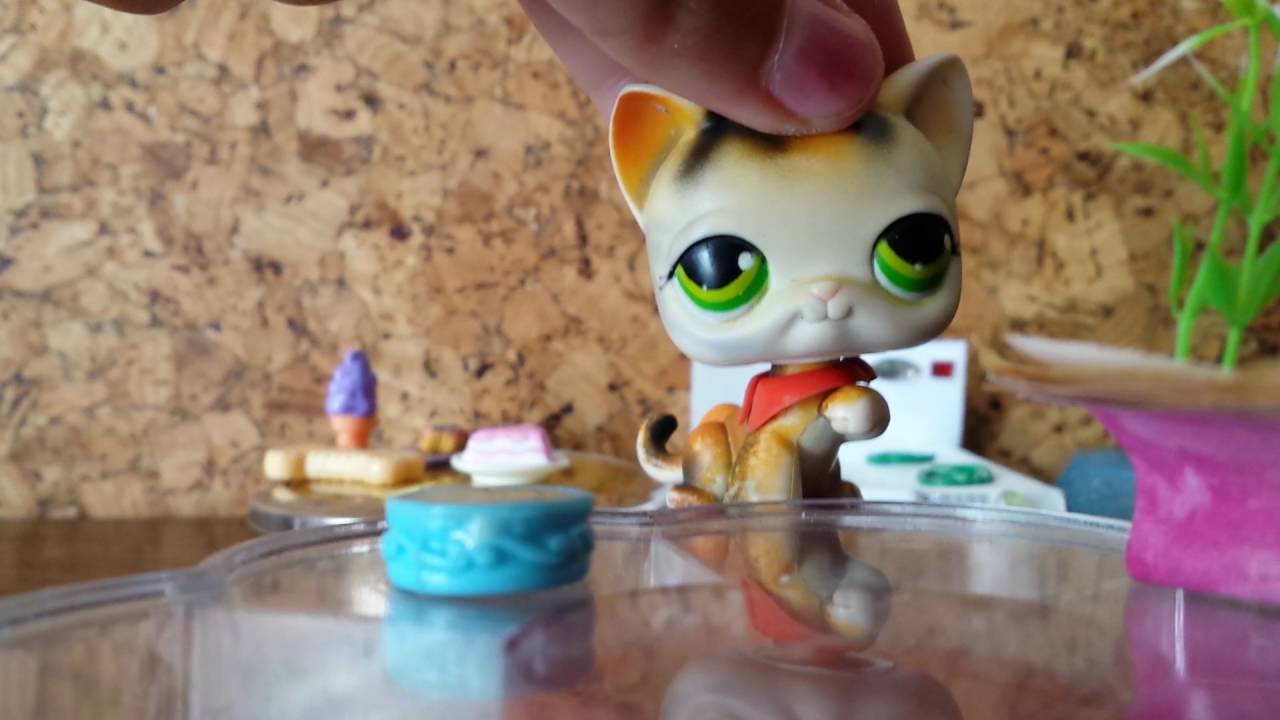Lps Cooking Show: Pudding🍮 - YouTube