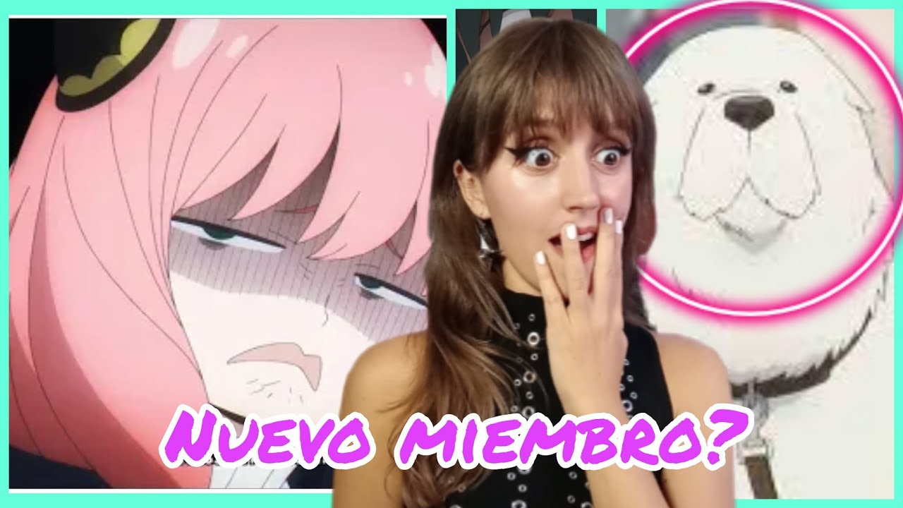 VUELVEN los FORGER spy x family capitulo 13🐶MISIÓN PERRO🐶*ANYA BUSCA ...