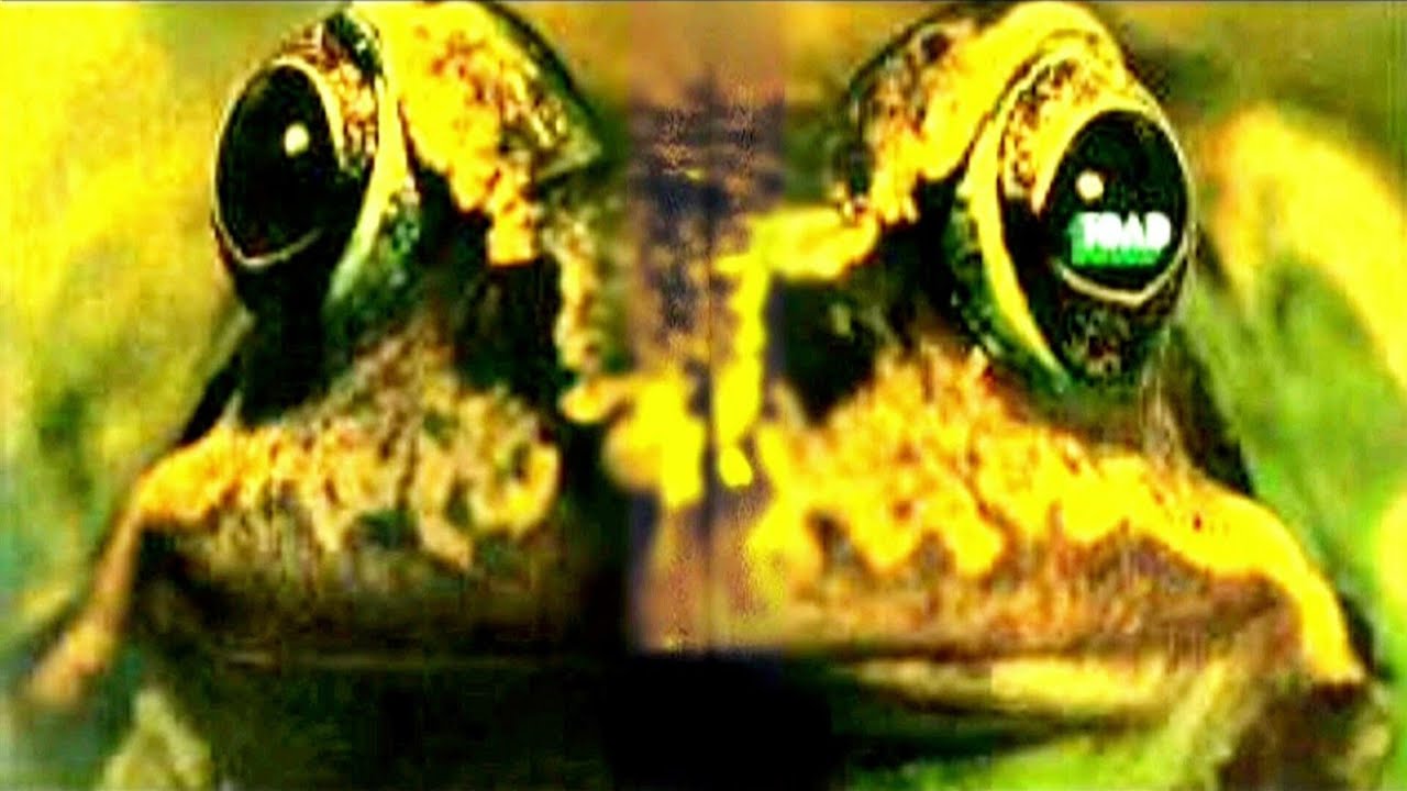 Toad - Toad (1970 - 1971) Full Album - YouTube