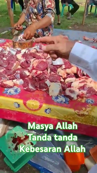 Masya Allah Tanda tanda kebesaran Allah - YouTube