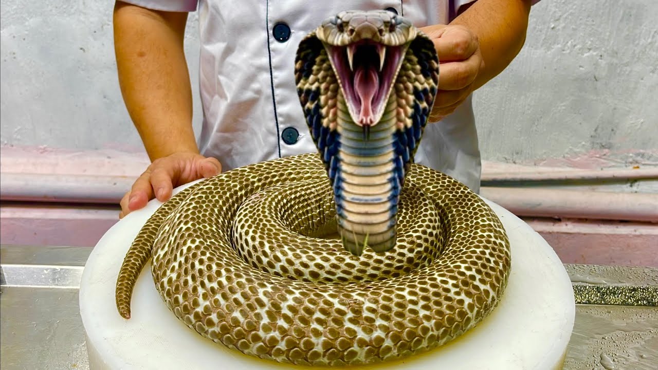 King Cobra Meat Cooking // Vn Chef - YouTube