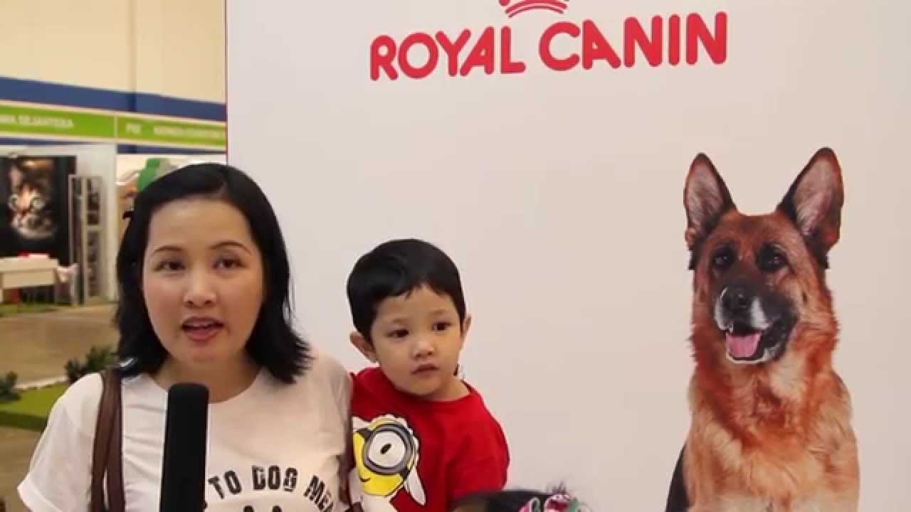 Royal Canin at 1st Indo Pet Expo 2015 - YouTube