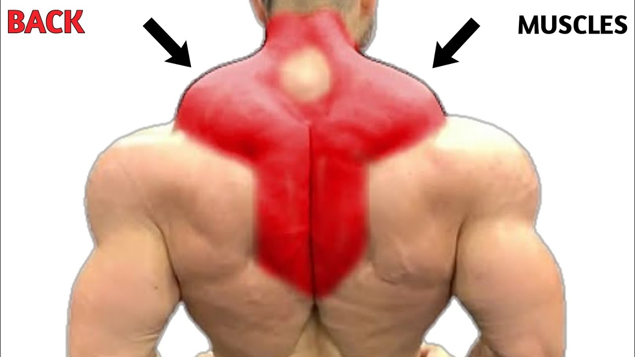 10 EXERCISES TO BUILD A BIG BACK AT HOME | ADD THESE TO YOUR ROUTINE ...