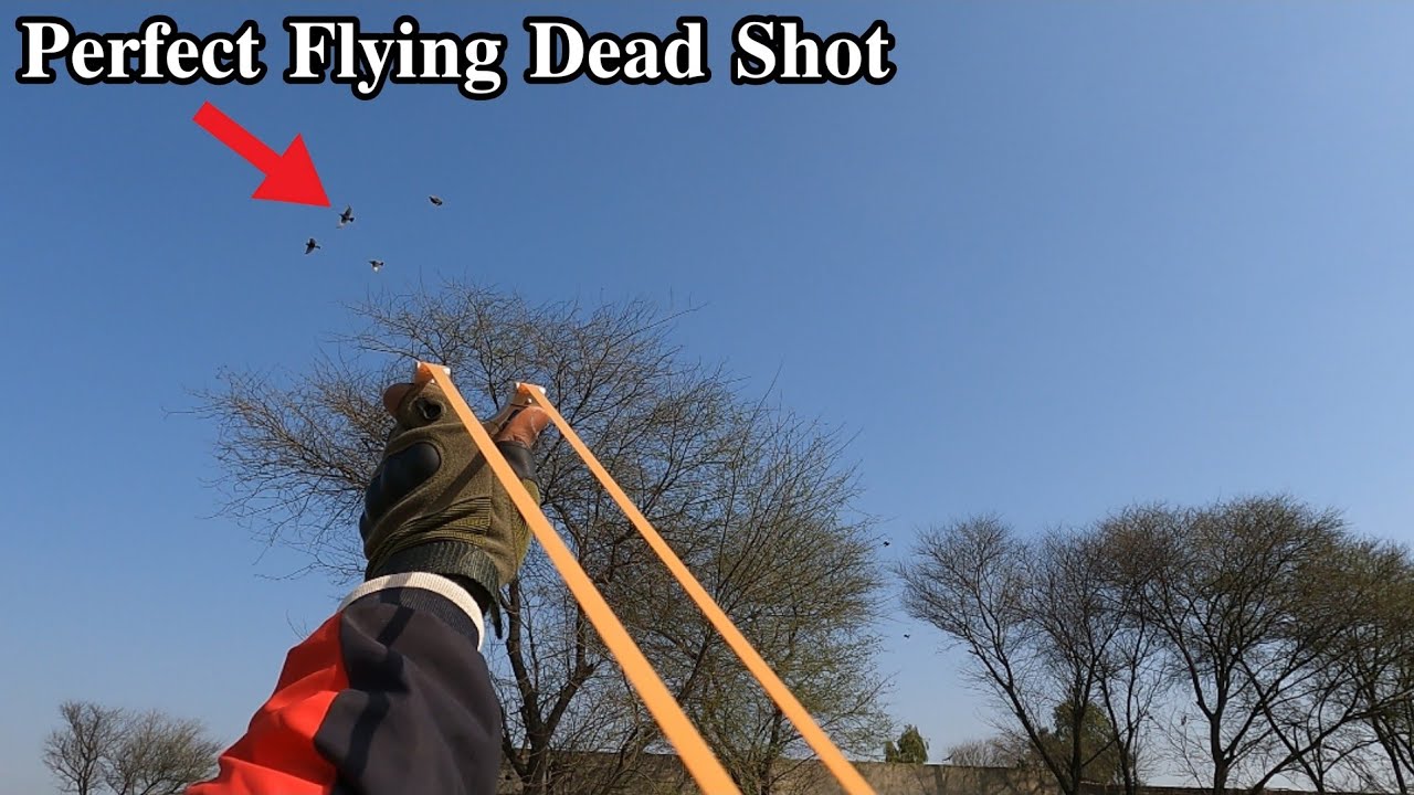 Slingshot Flying Birds Hunting ! - YouTube