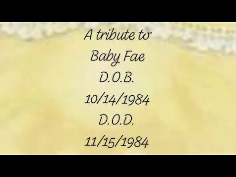 A Tribute To Baby Fae - YouTube