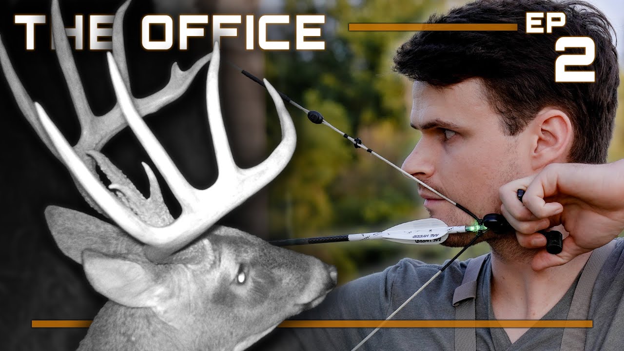 The Chase Begins For A Public Land Monster, Shooting Drill For Bow ...