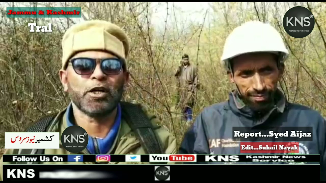 Tral: Wildlife team captures bear in Kuchmulla village:Reports & Camera ...