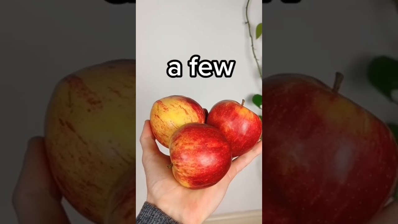 Grammar :- a couple , a few , several , many - YouTube