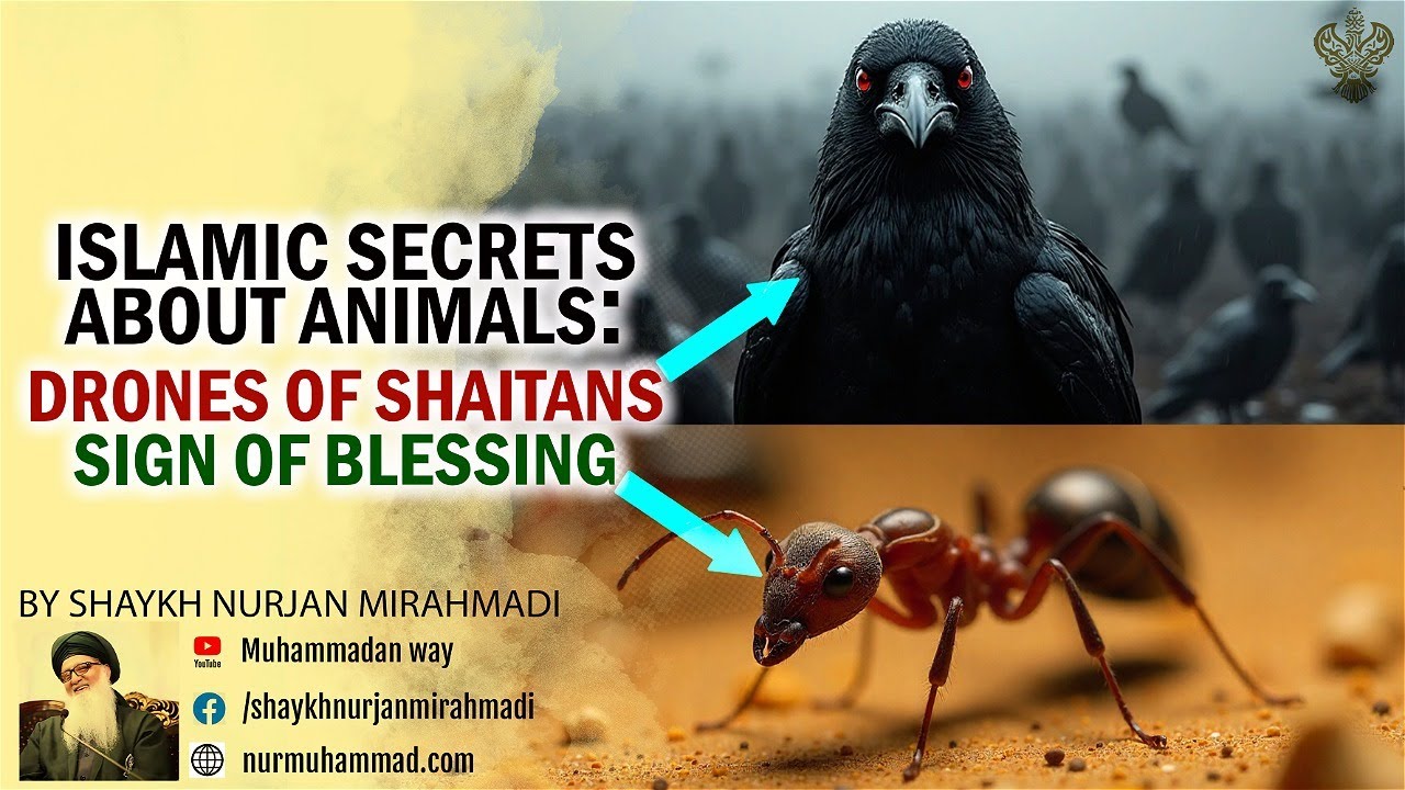 Ants & Crows: Islamic Secrets You Never Knew - YouTube