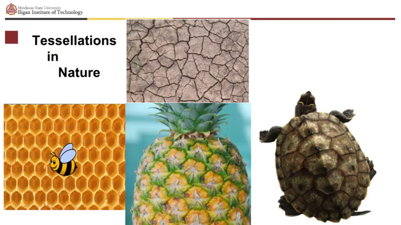 Tessellations - YouTube