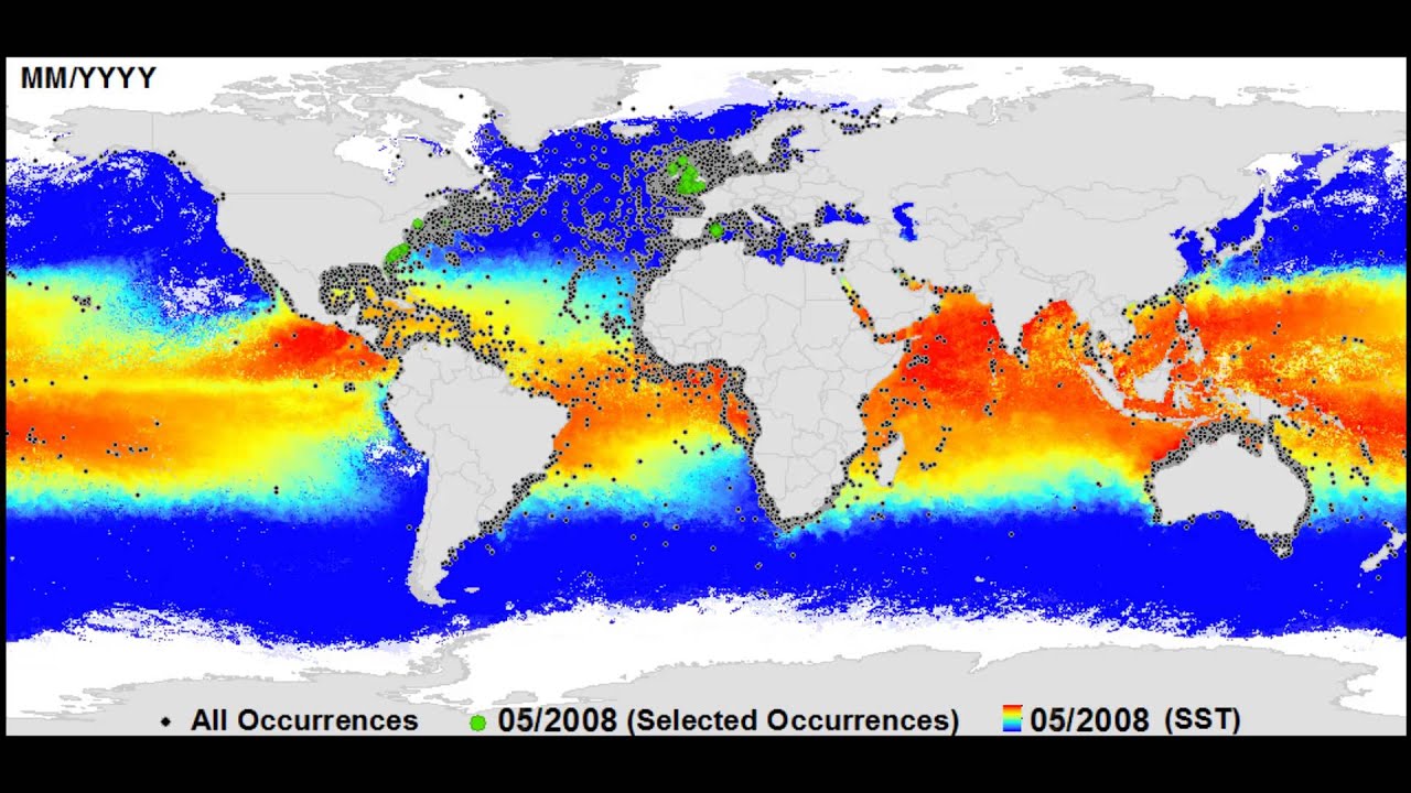 Time-based raster to point data extraction - YouTube
