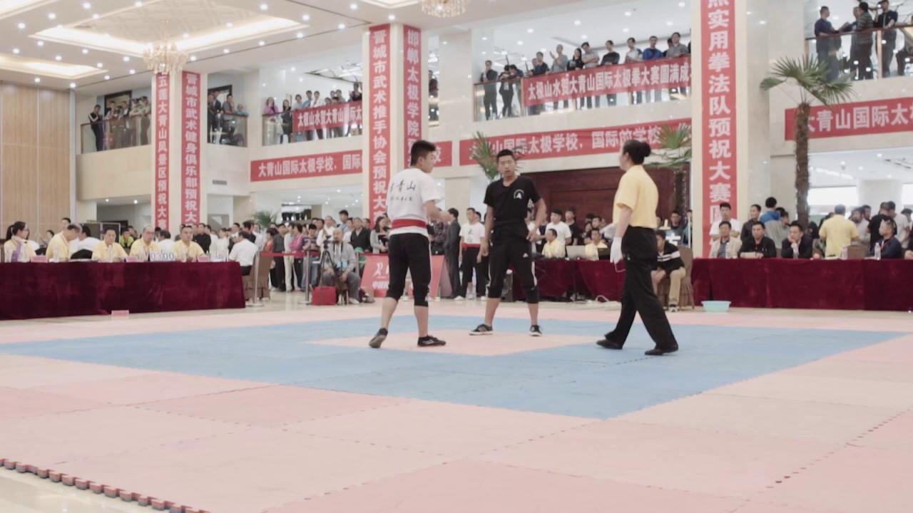 DQS 2016 TaiJi Push Hand Competition Part 015 - YouTube