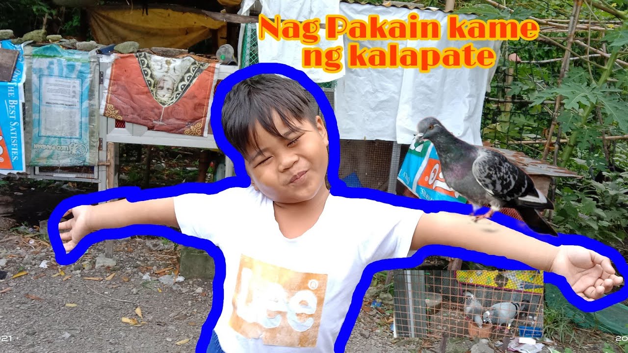 Nag pakain kami ng kalapate kalapatids - YouTube