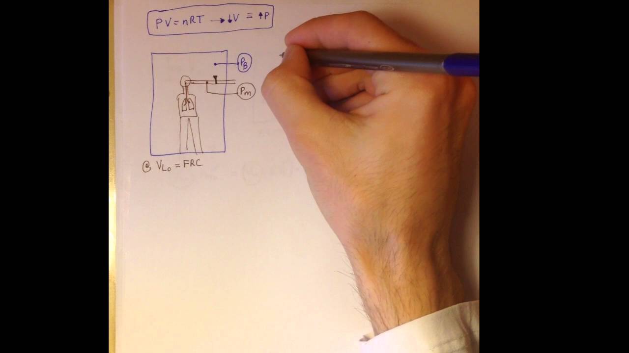 Plethysmography - YouTube