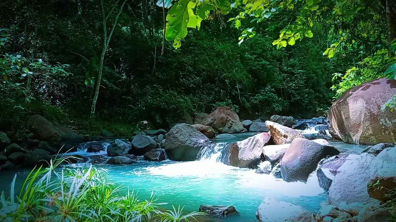 Nature’s Tranquility – Soft River Flow for Relaxation & Focus - YouTube