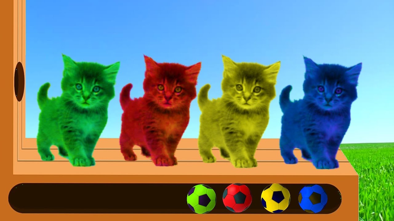 Kids Cartoons Learning Colors for Toddlers Kitten Cartoon Colors Review ...
