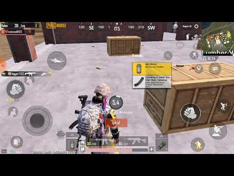 Abimle pubgboynadik