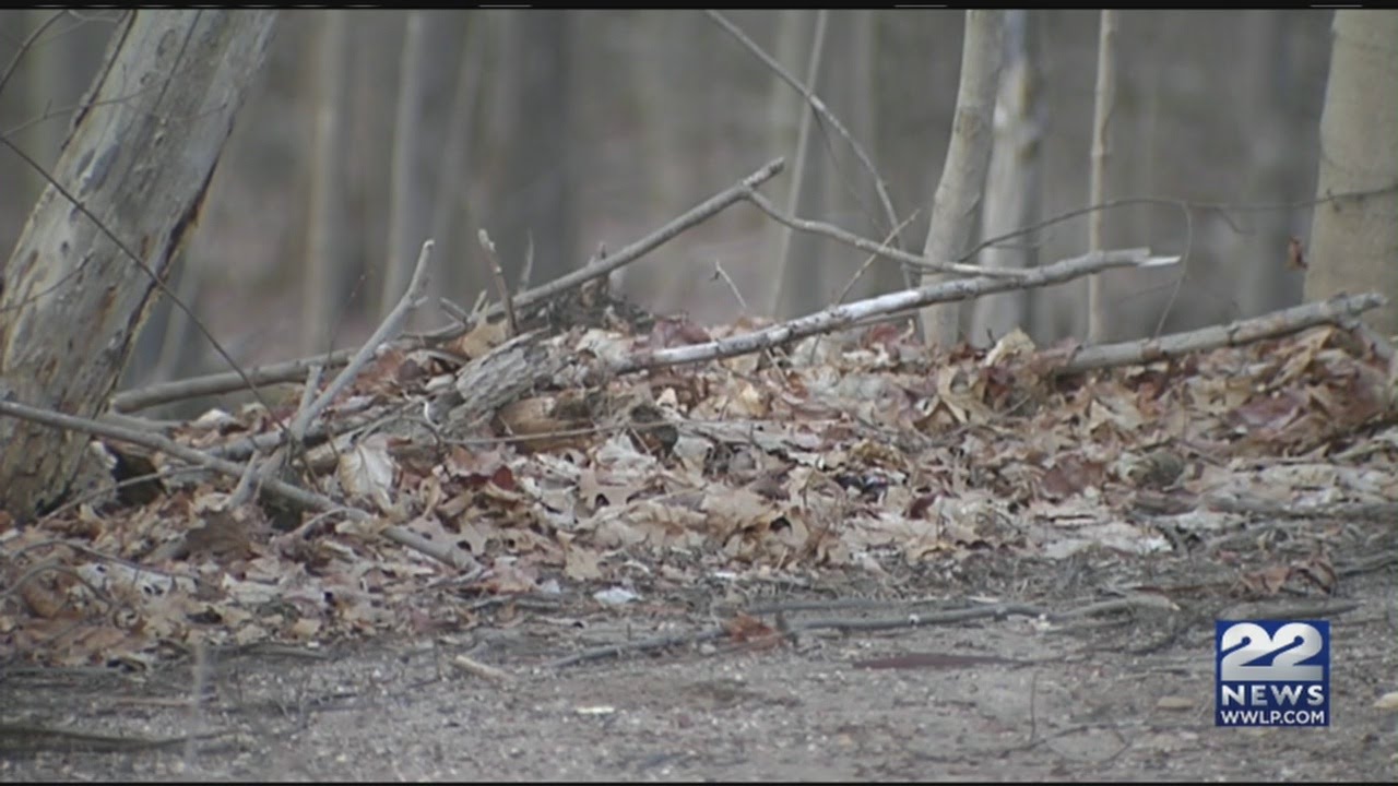 Elevated risk for brush fires in western Massachusetts - YouTube