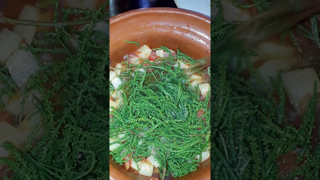 Un rico caldo de Temachaca - YouTube