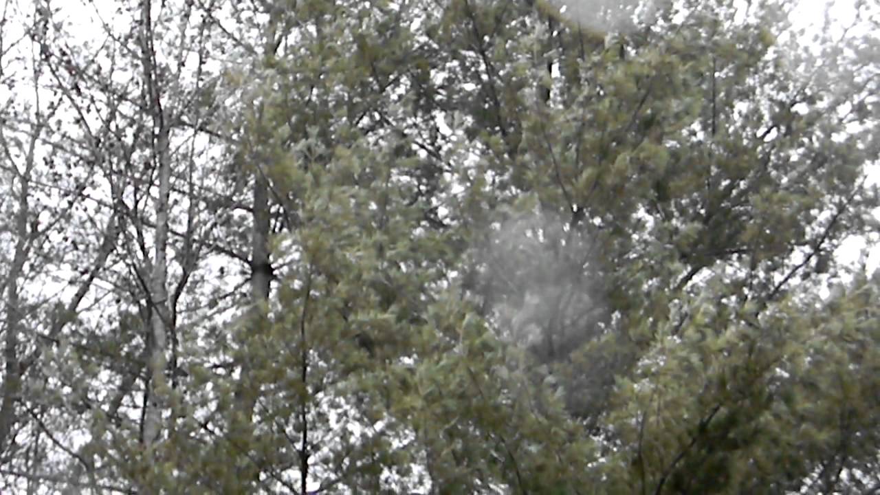 GoPro Parachute Stuck in Tree - YouTube