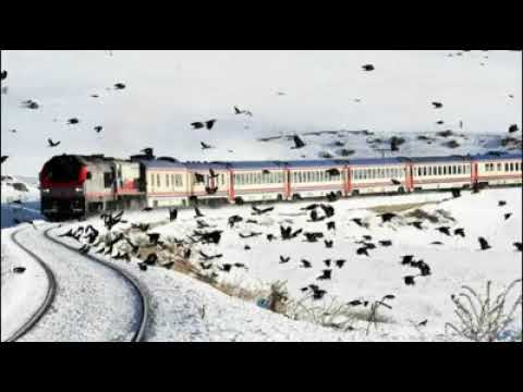 BU TRENİ BEN ÇOK SEVDİM- ŞİİR: SÜLEYMAN YAĞIZ- YORUMLAYAN: METİN GÜÇLÜ